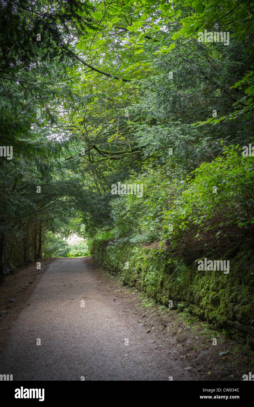 A beautiful and tranquil country lane in yorkshire Stock Photo - Alamy