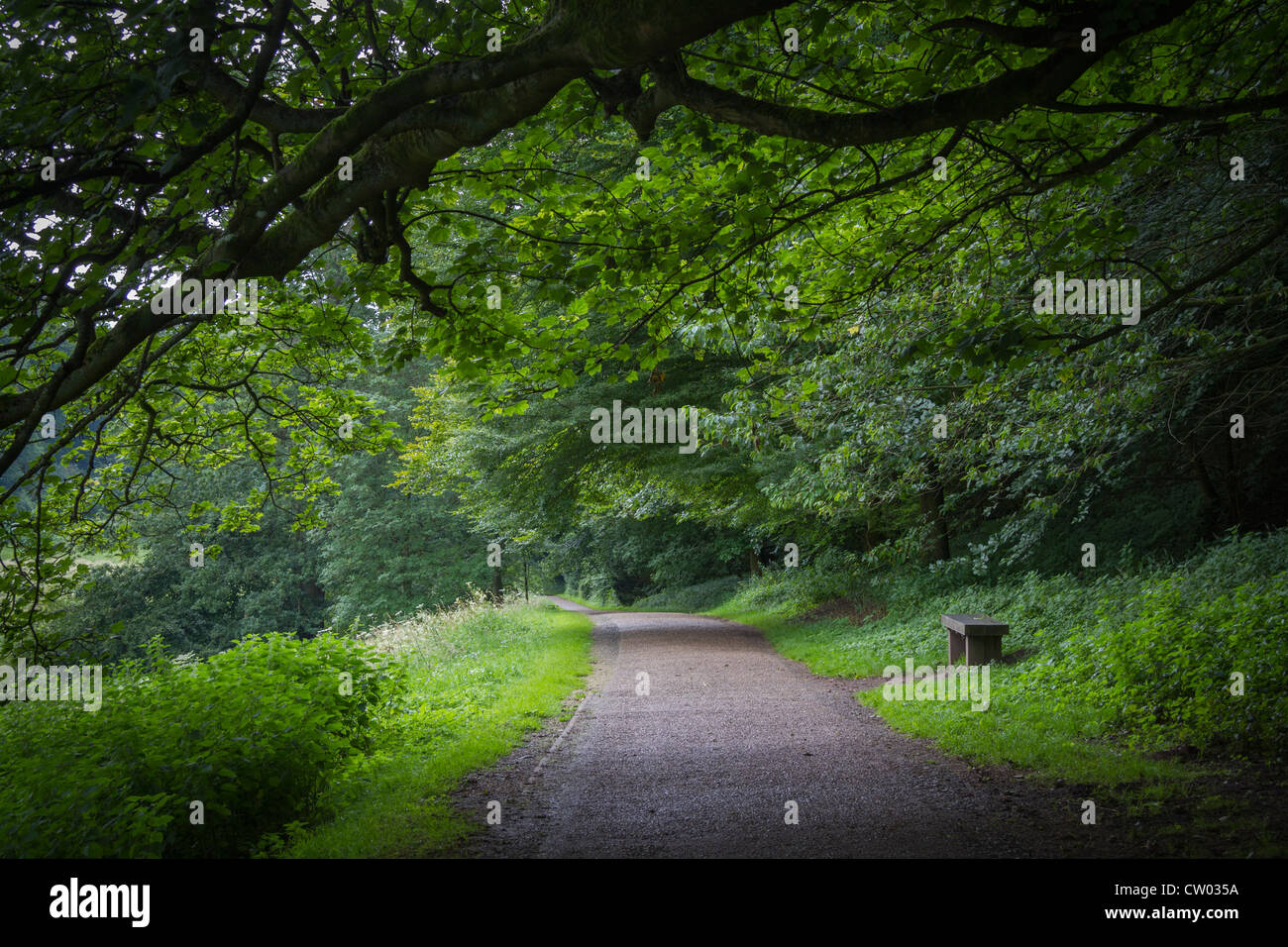 A beautiful and tranquill country lane in yorkshire Stock Photo - Alamy