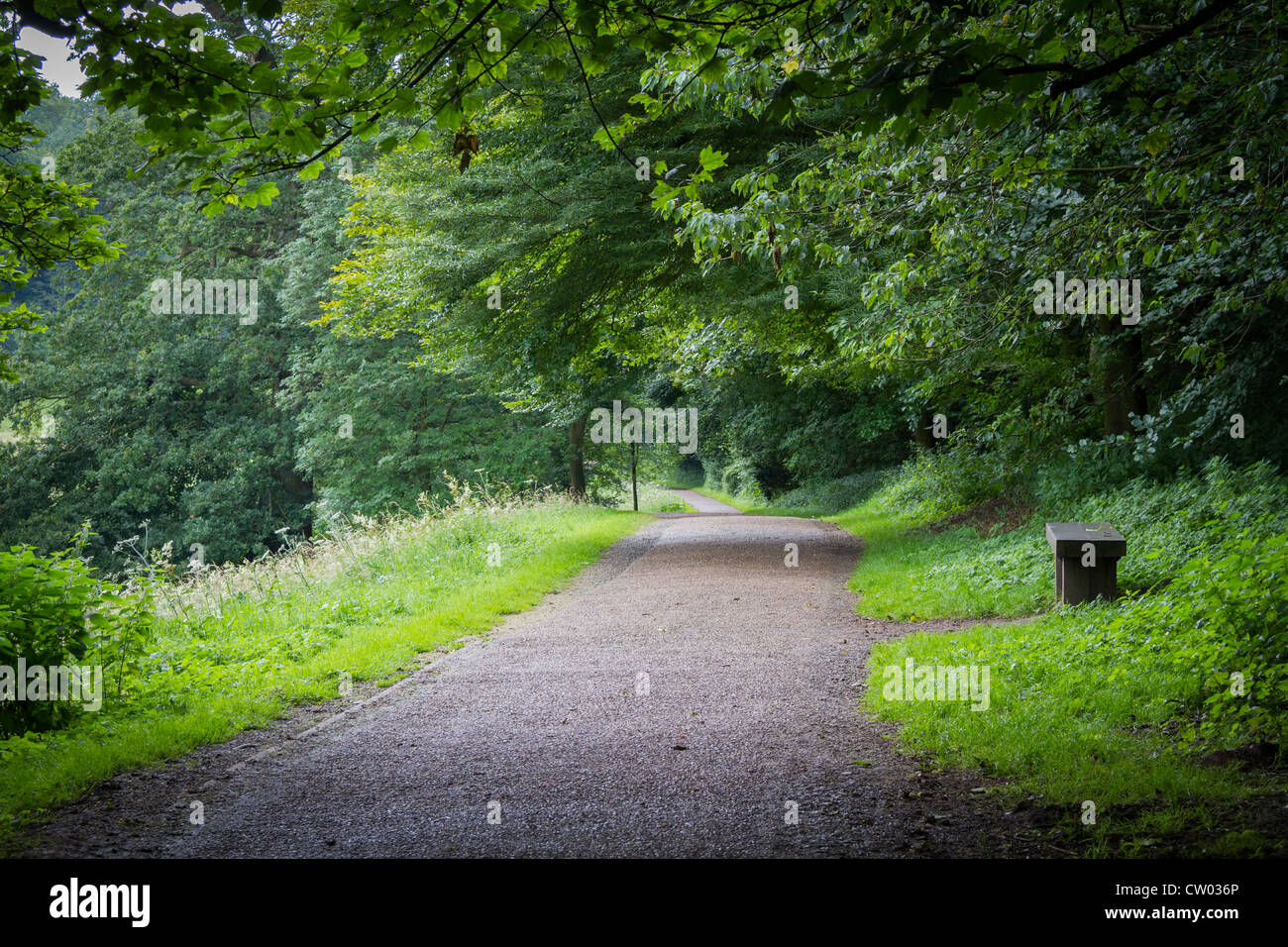 A beautiful and tranquil country lane in yorkshire Stock Photo - Alamy