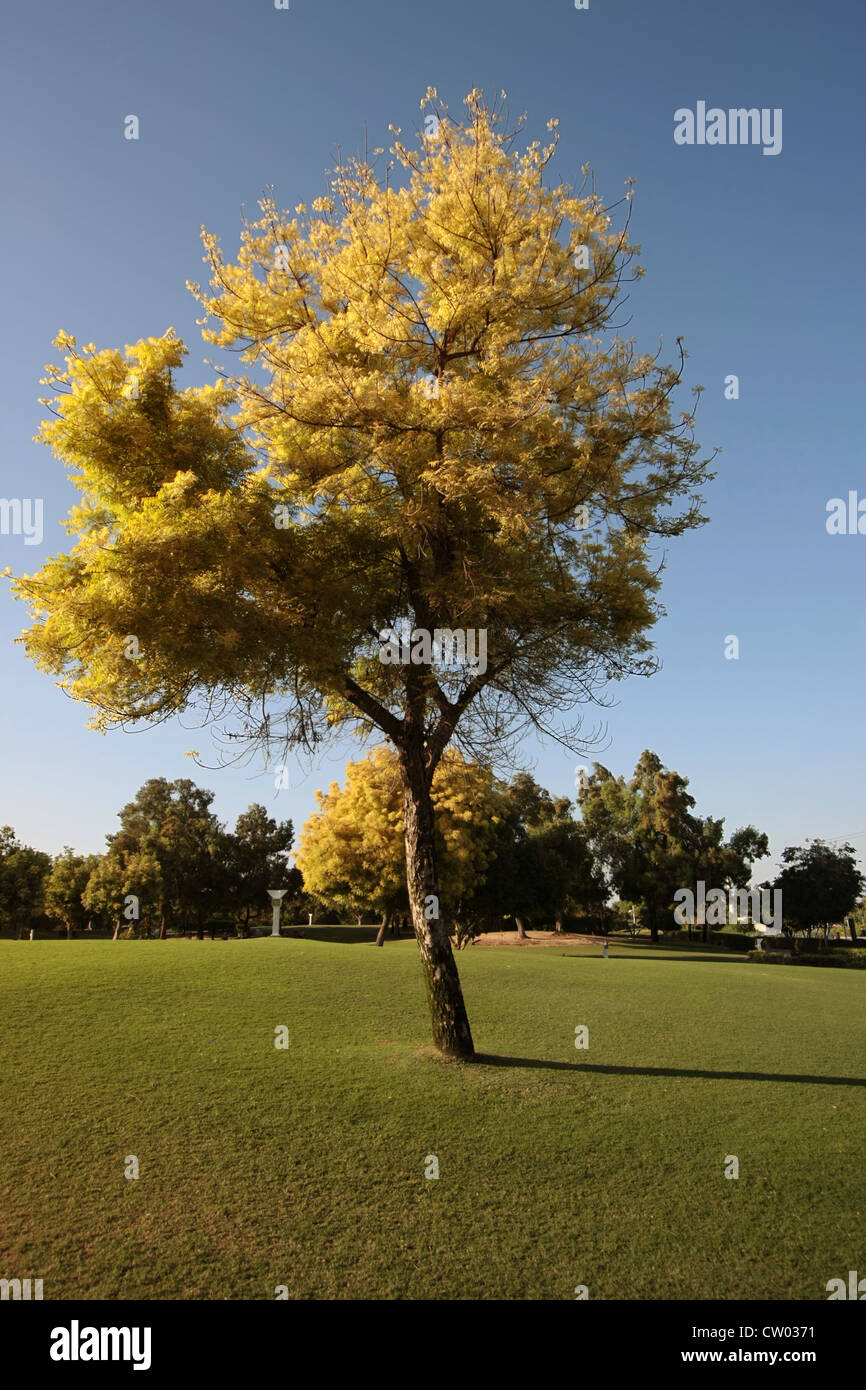 Dubai countryside hi-res stock photography and images - Alamy