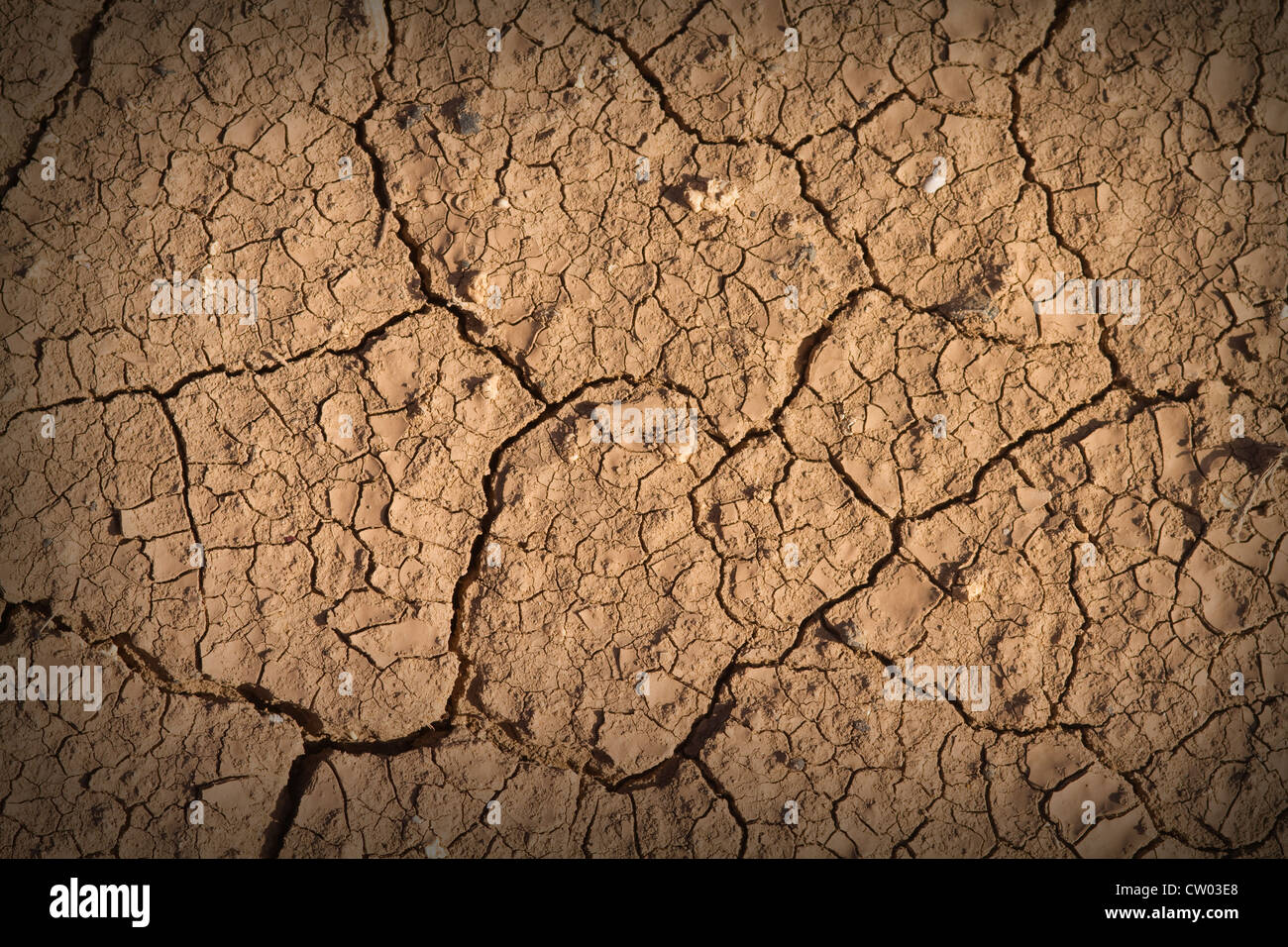 dry mud texture and background closeup abstract Stock Photo - Alamy