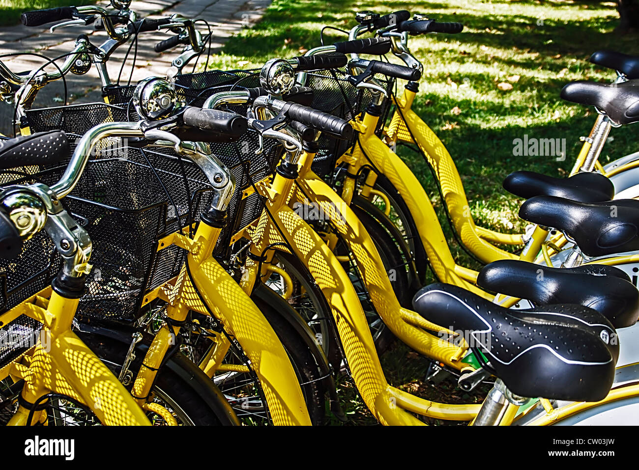 Ring located hi-res stock photography and images - Alamy