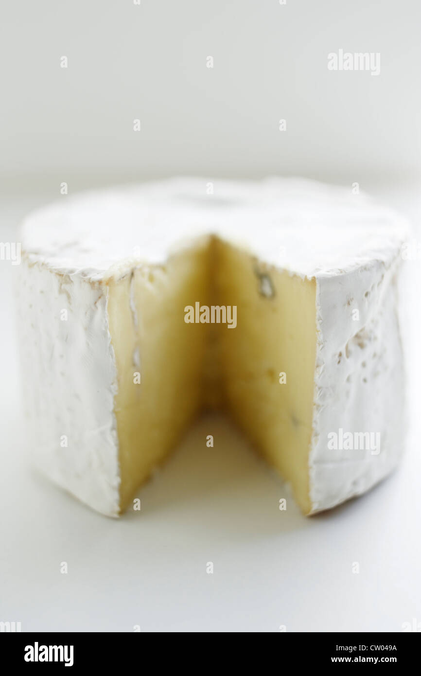 Close up of wheel of cheese Stock Photo - Alamy