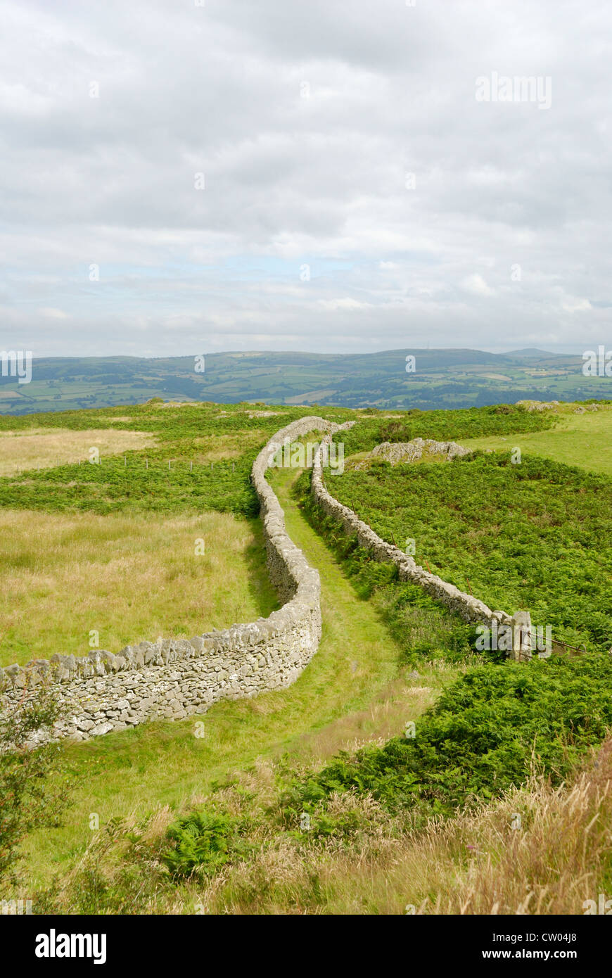 Old drovers lane hi-res stock photography and images - Alamy