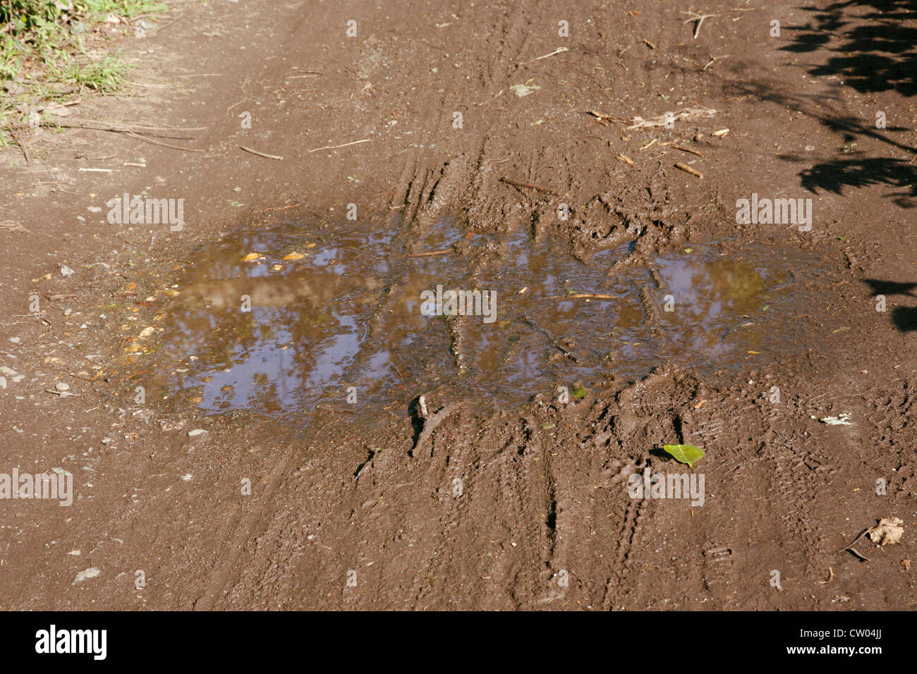Footpath with big puddles after rain Stock Photo - Alamy