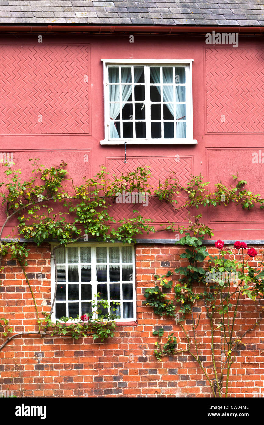 Climbing Rose Around Window Stock Photo - Alamy