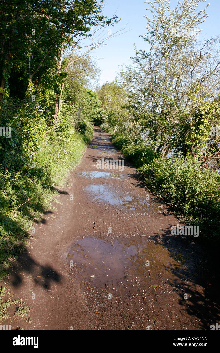 Muddy puddle road after rain hi-res stock photography and images - Alamy