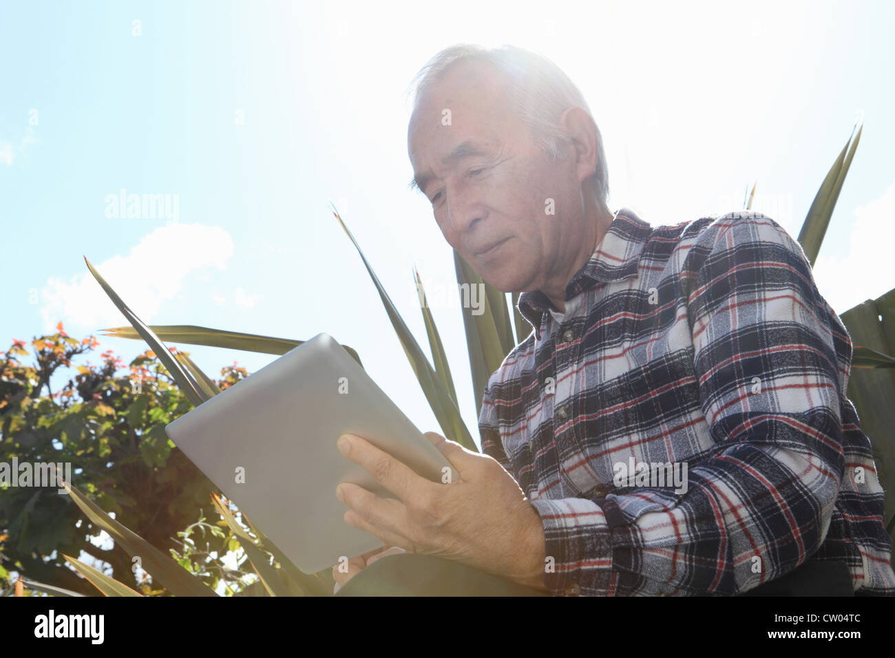 Old man computer back view hi-res stock photography and images - Alamy
