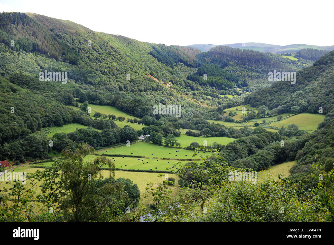 Rheidol Valley near Devils Bridge Ceredigion West Wales Stock Photo - Alamy