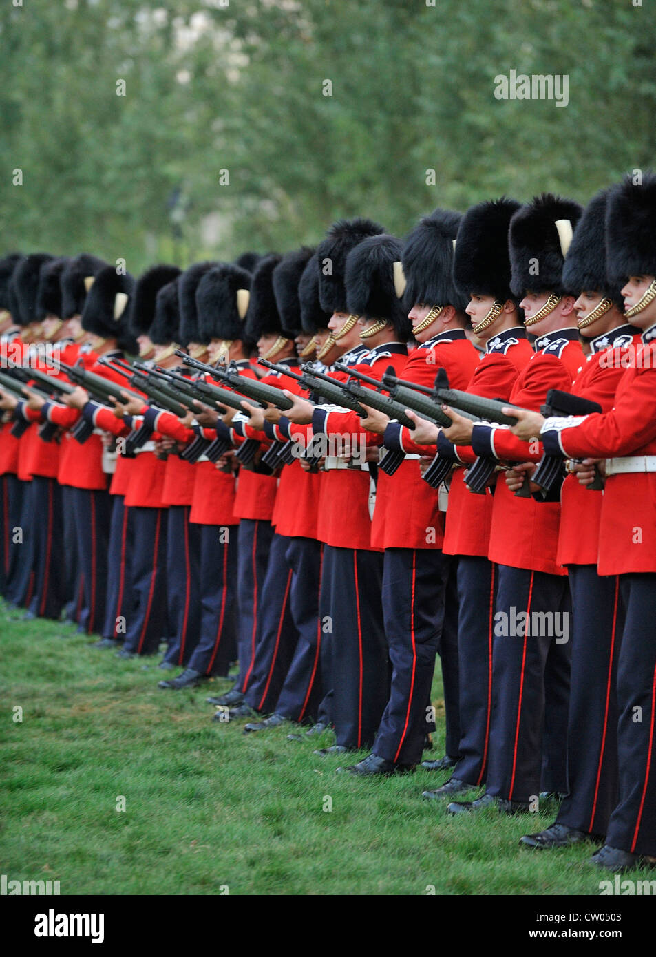 A photograph of the Canadian Grenadier Guards performing a military ...