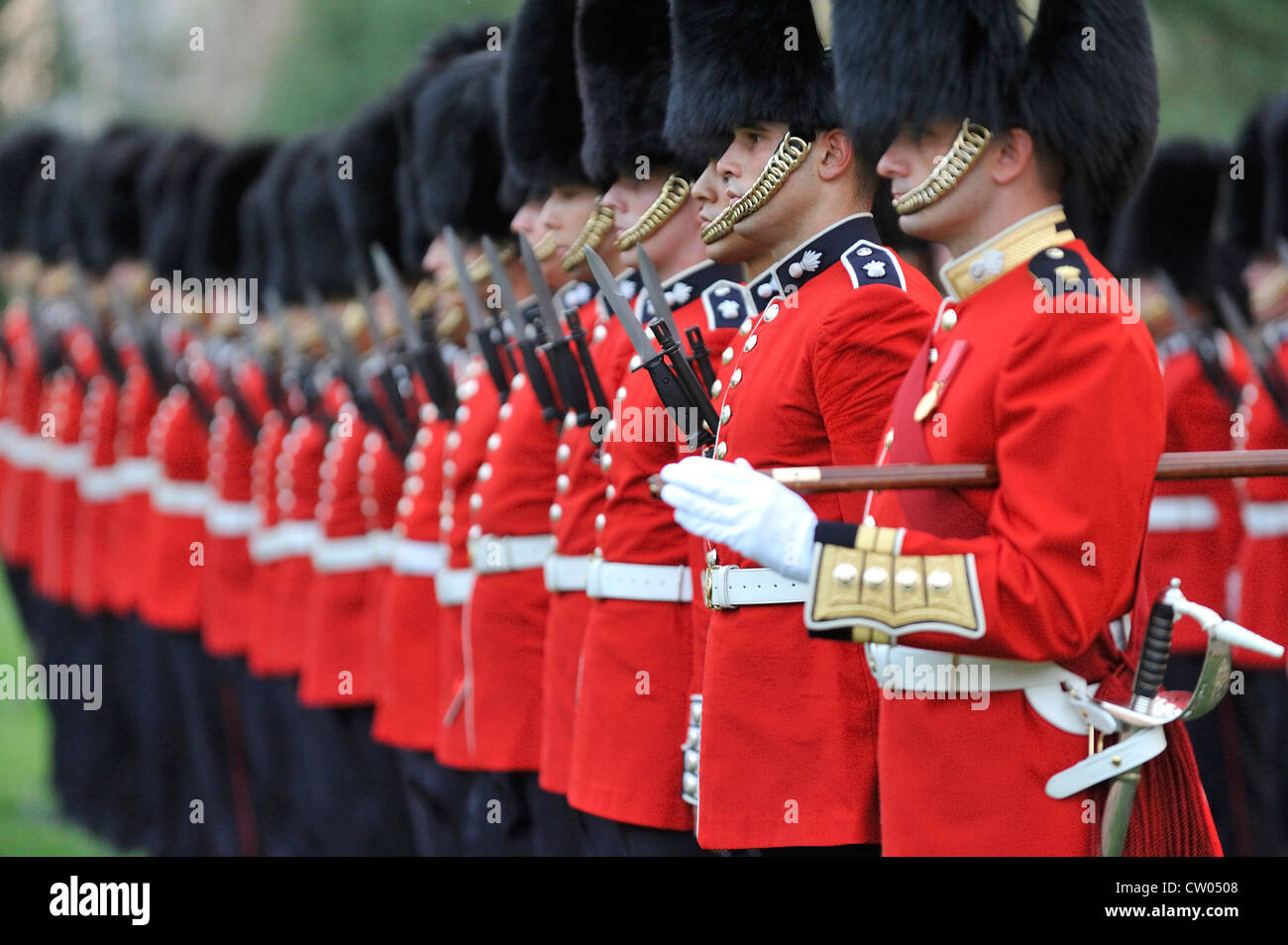A photograph of the Canadian Grenadier Guards performing a military ceremony in Old Montreal ...