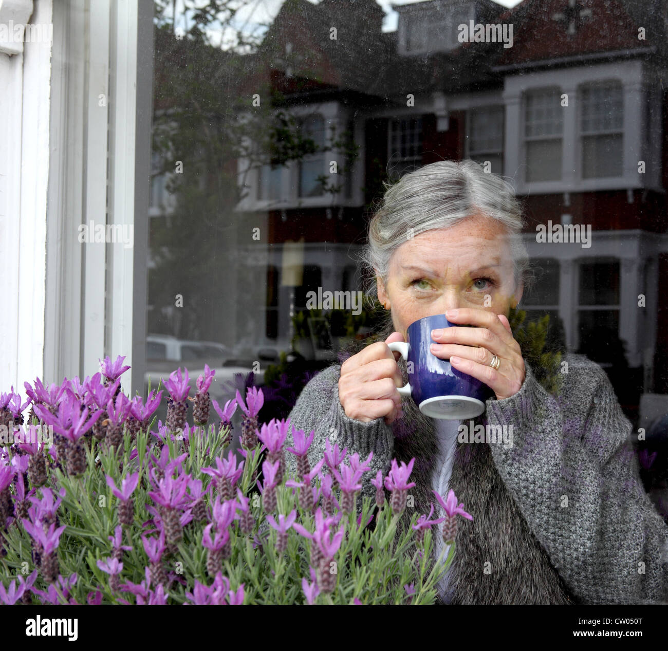 Woman drinking coffee at window Stock Photo - Alamy