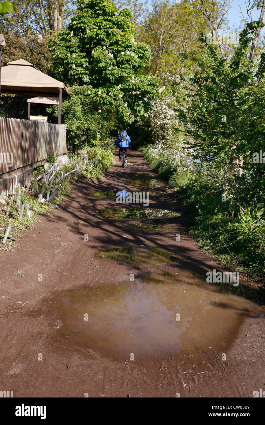 Footpath with big puddles after rain Stock Photo - Alamy