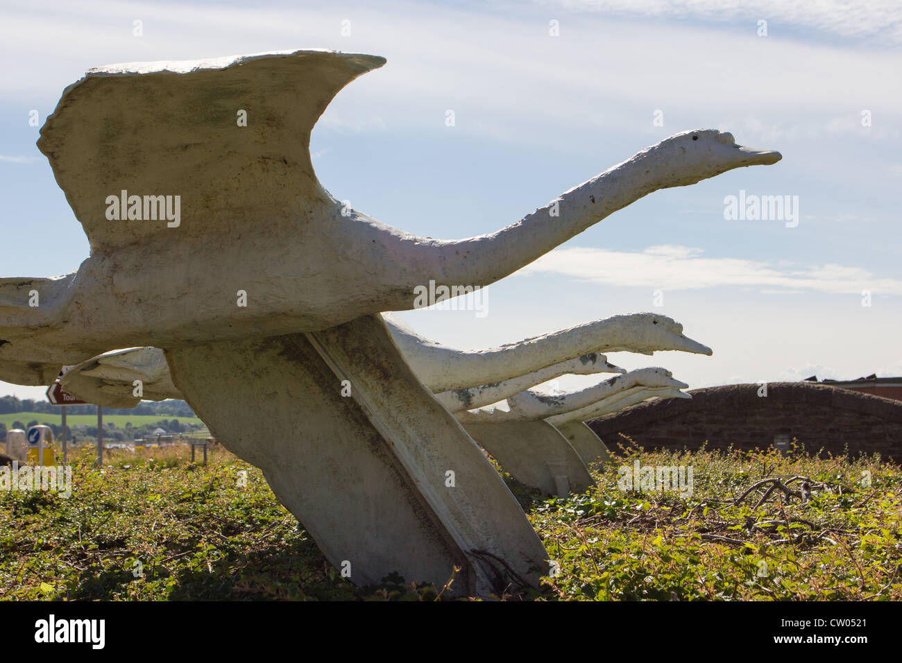 Municipal Sculptures of swans in middle of roundabout Montrose Angus ...