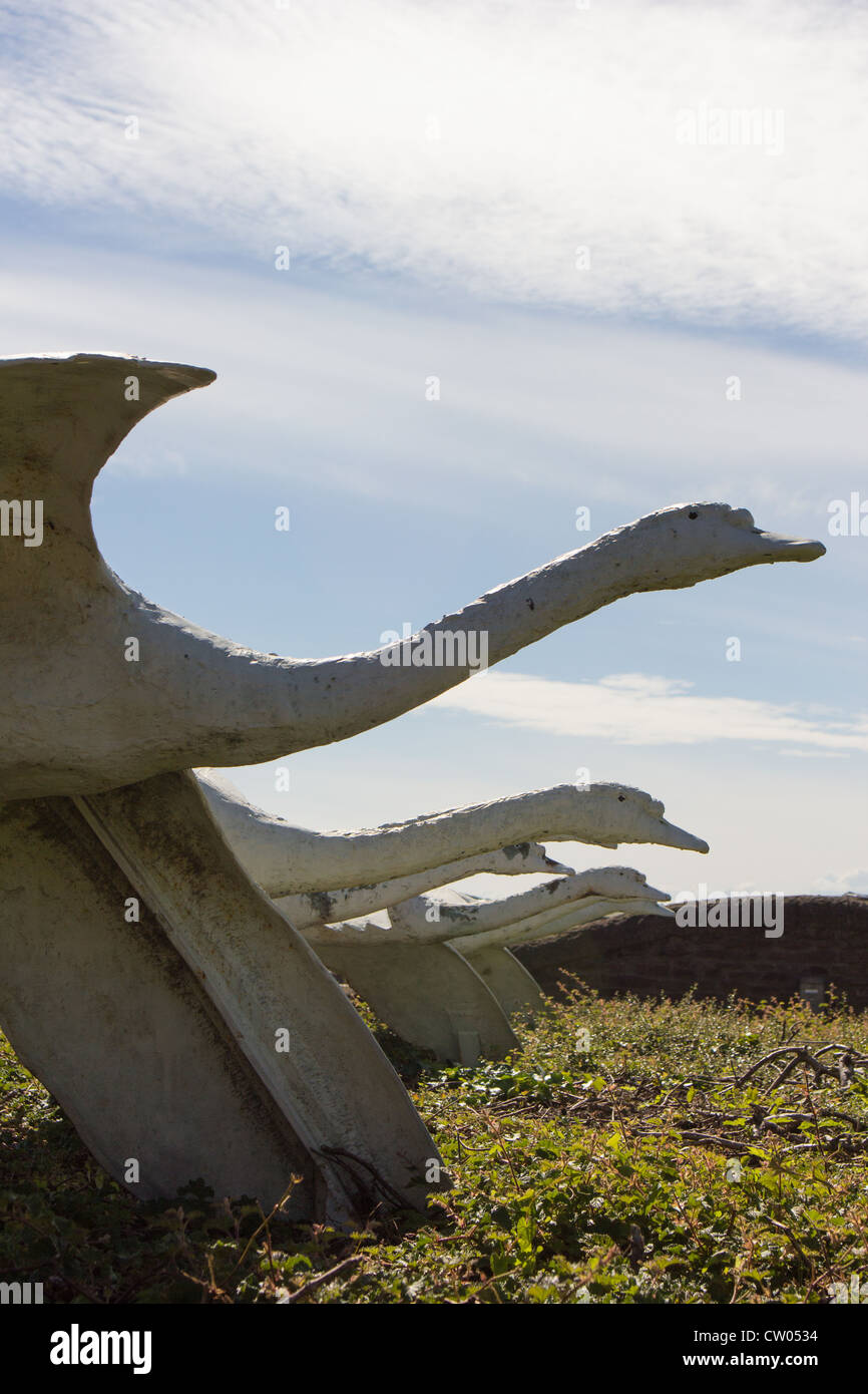 Municipal Sculptures of swans in middle of roundabout Montrose Angus ...