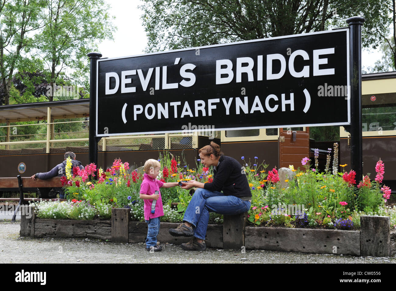 Vale of Rheidol railway station at Devil's Bridge Wales Uk Stock Photo ...