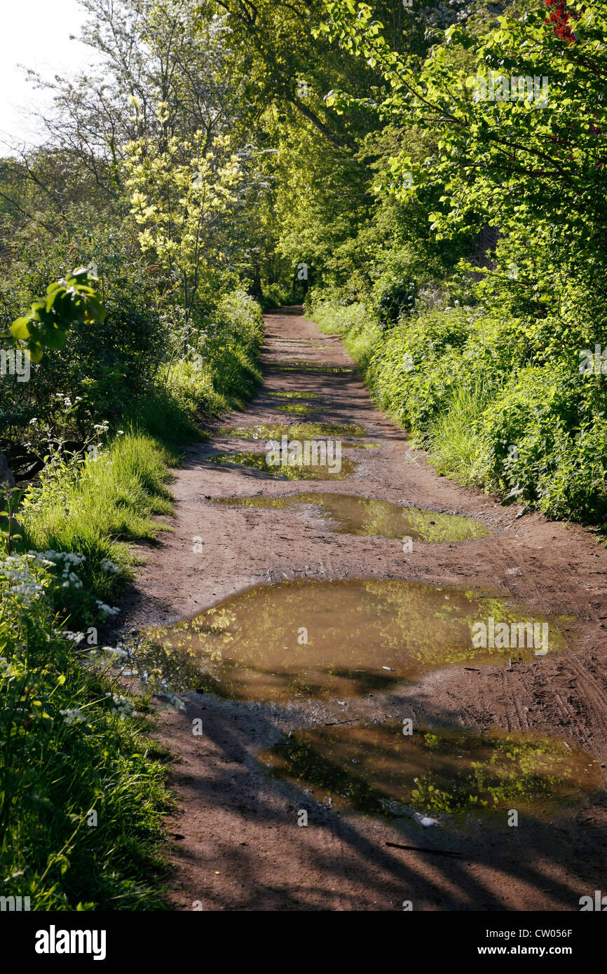 Muddy Puddle Road After Rain High Resolution Stock Photography and ...
