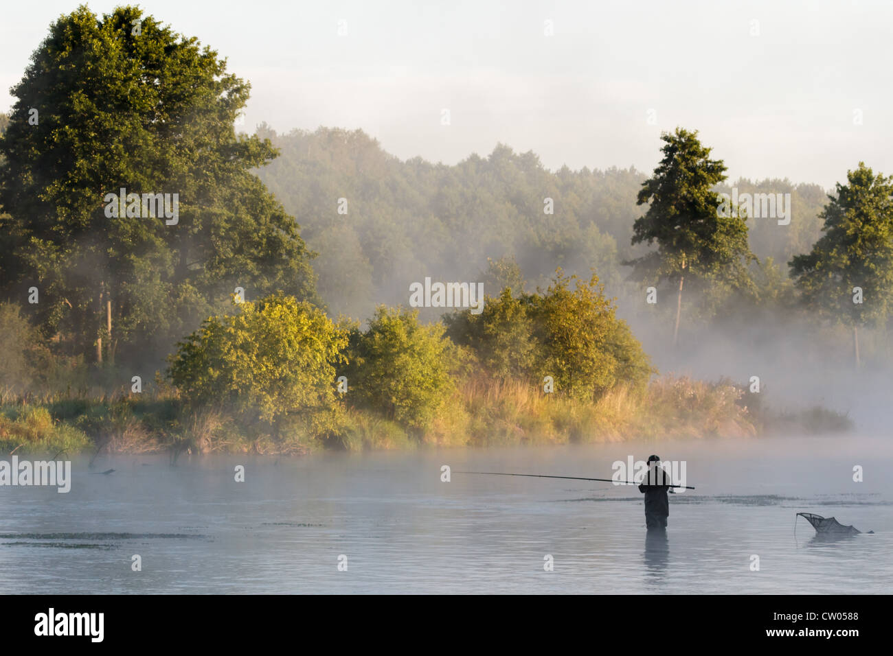 fishing, fishing in a lake, nature series Stock Photo - Alamy