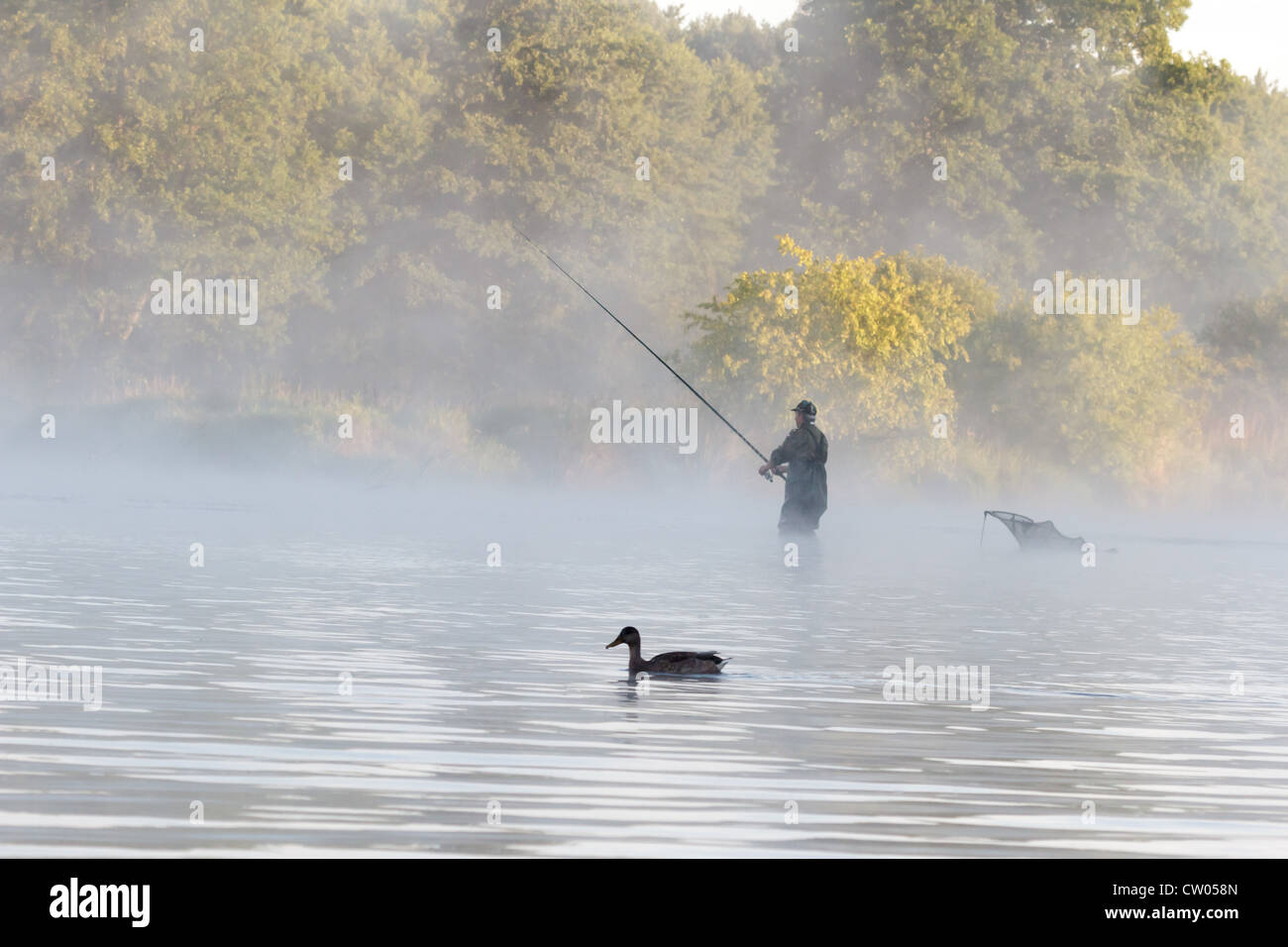 fishing, fishing in a lake, nature series Stock Photo - Alamy