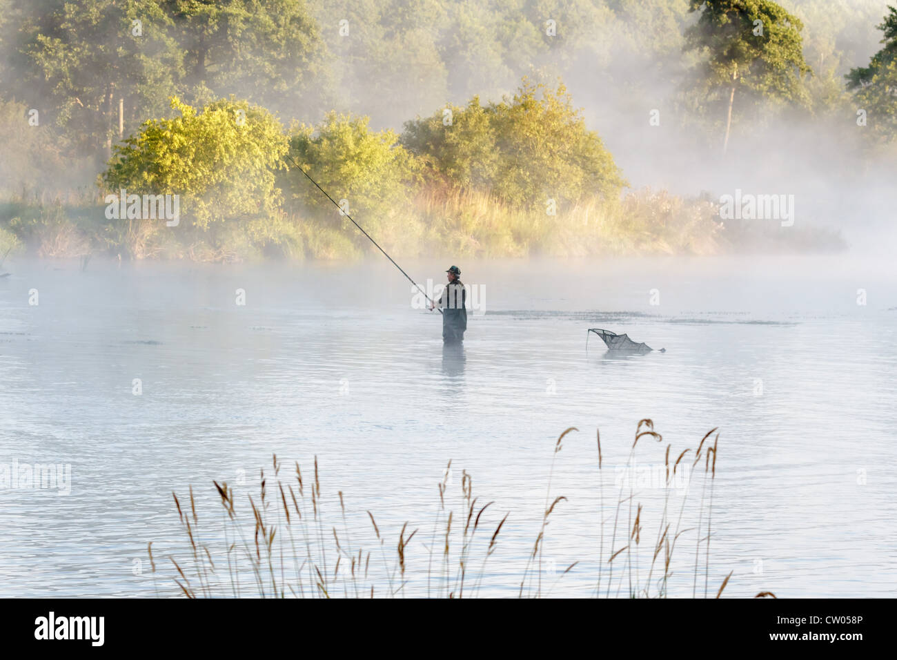 fishing, fishing in a lake, nature series Stock Photo - Alamy