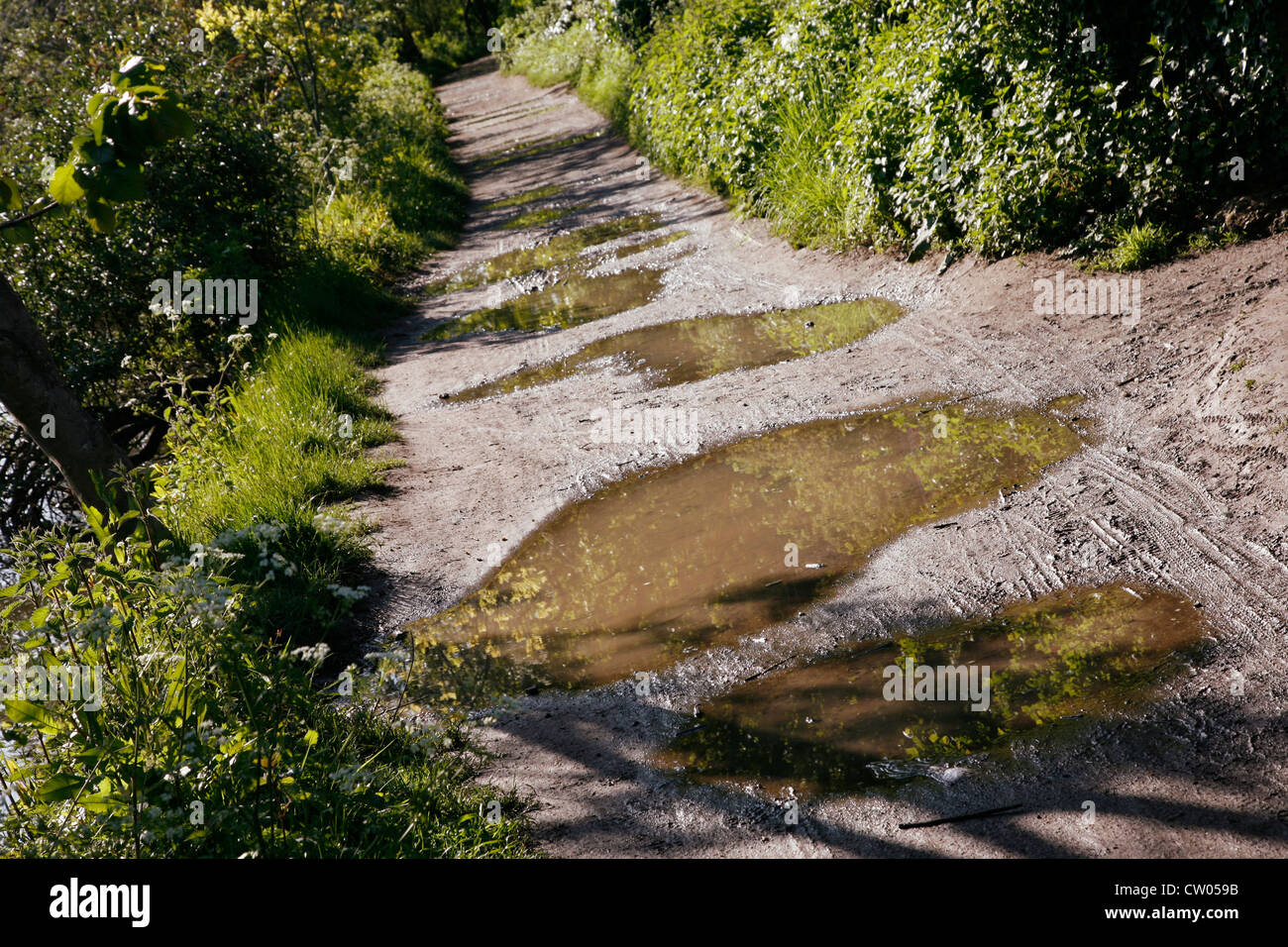 Footpath with big puddles after rain Stock Photo - Alamy