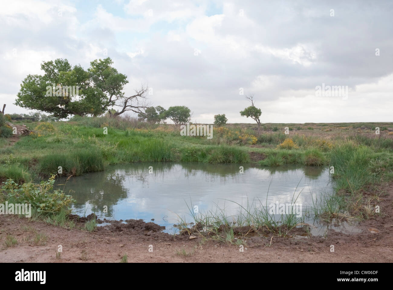 Stinking springs hi-res stock photography and images - Alamy