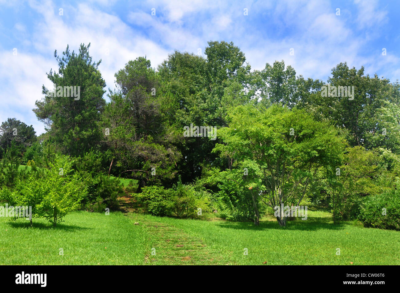 Sochi national park hi-res stock photography and images - Alamy