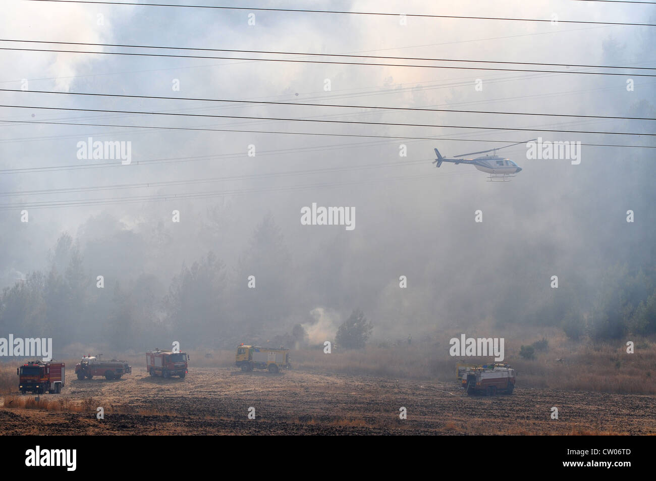 Forest fire on the Eastern slop of Mt. Carmel, Near Elroei, Israel ...