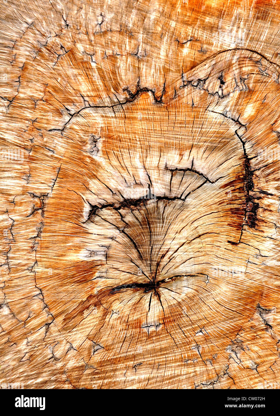 Oak wood texture hi-res stock photography and images - Alamy