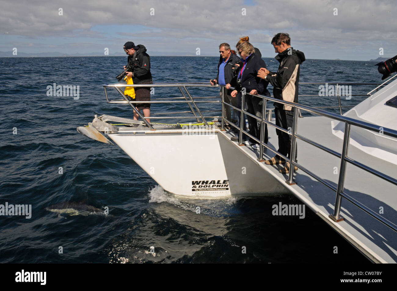 Tourists on the deck of a 'Whale & Dolphin' vessel, watching Common ...