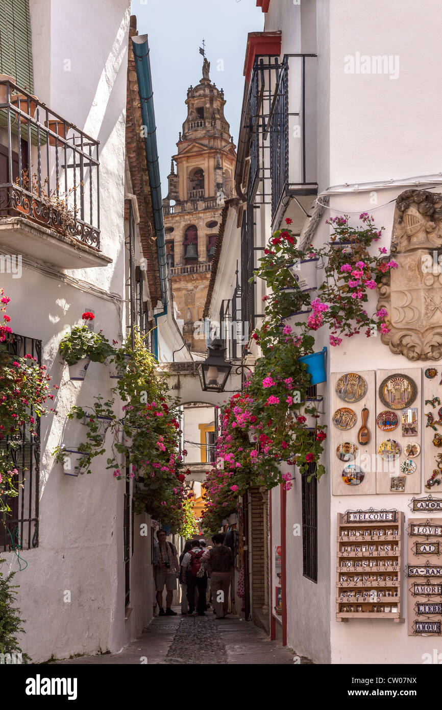 Cordoba Cathedral, seen down small pretty alleyway, Andalucia, Spain ...