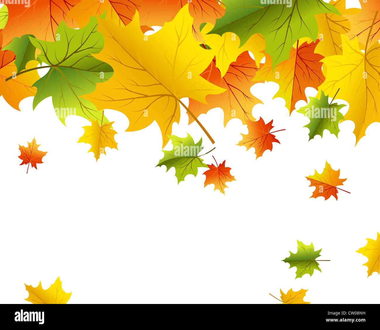 Autumn maples falling leaves background. Vector illustration Stock ...