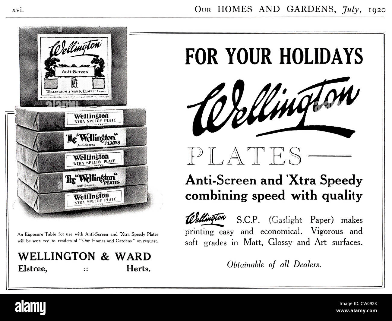 1920s "Homes & Gardens" magazine advertisement for "Wellington Plates ...