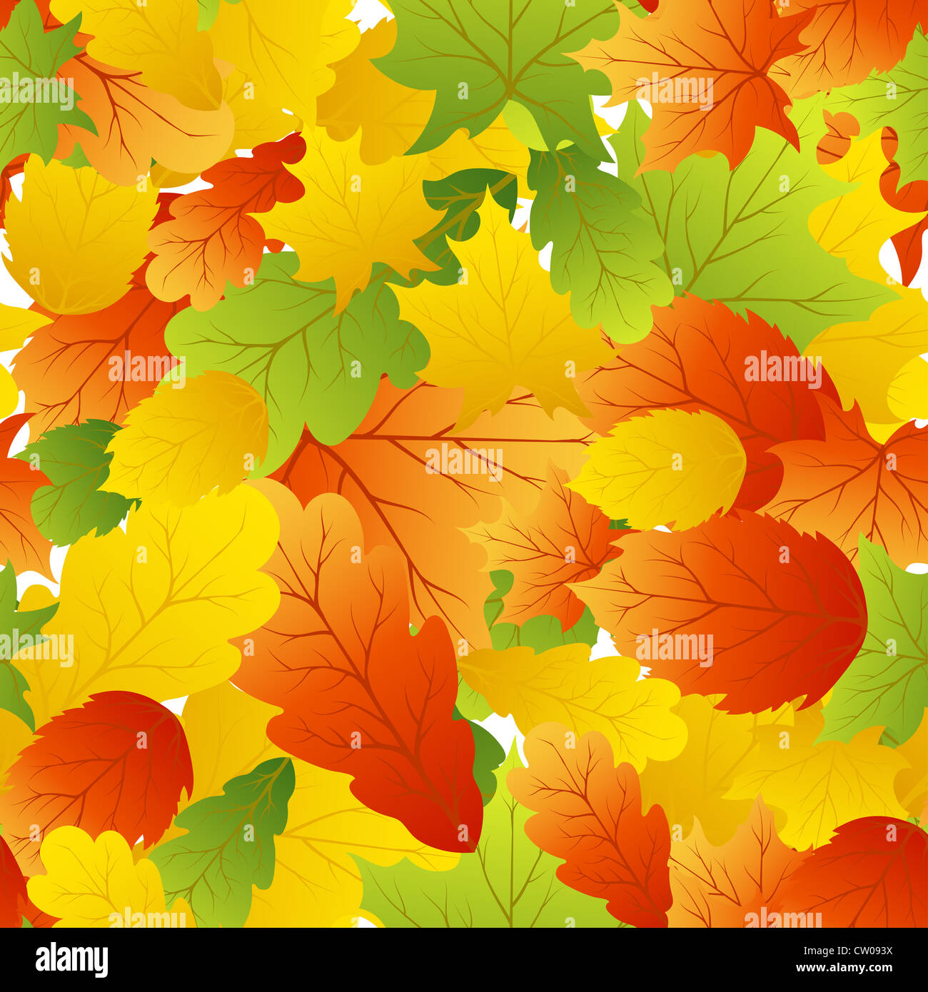 Autumn maples leaves seamless background. Vector illustration Stock Photo - Alamy