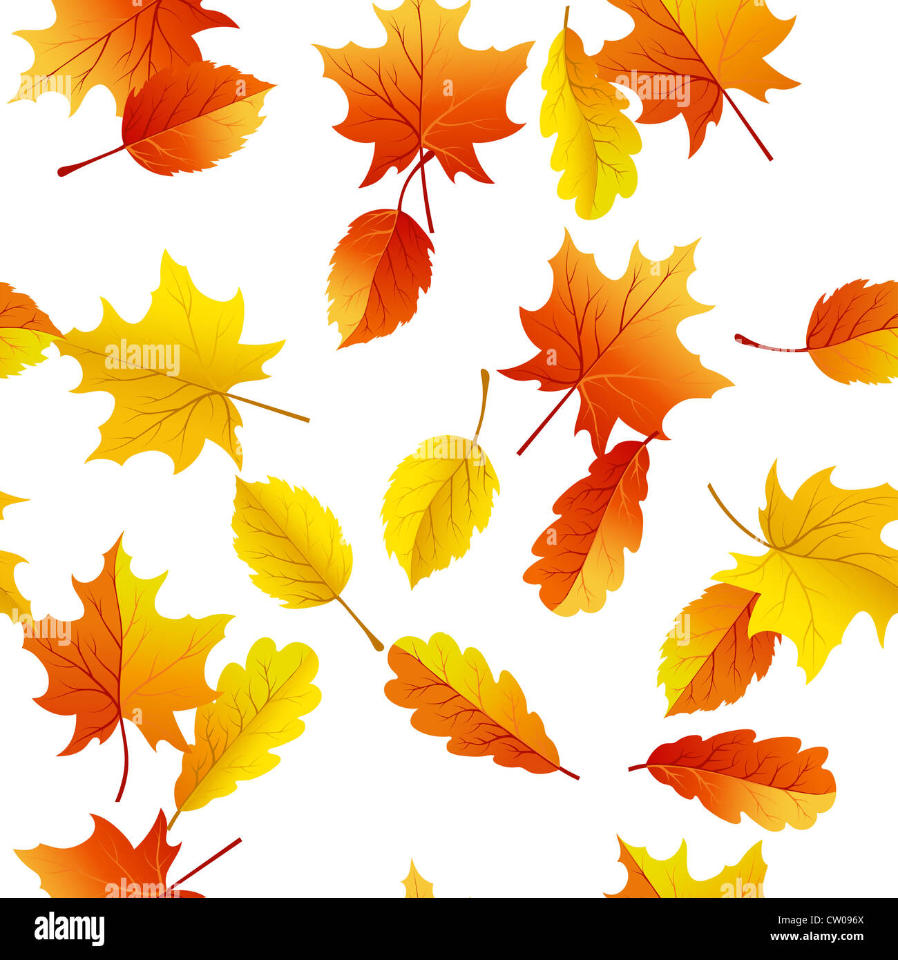 Autumn maples leaves seamless background. Vector illustration Stock Photo - Alamy