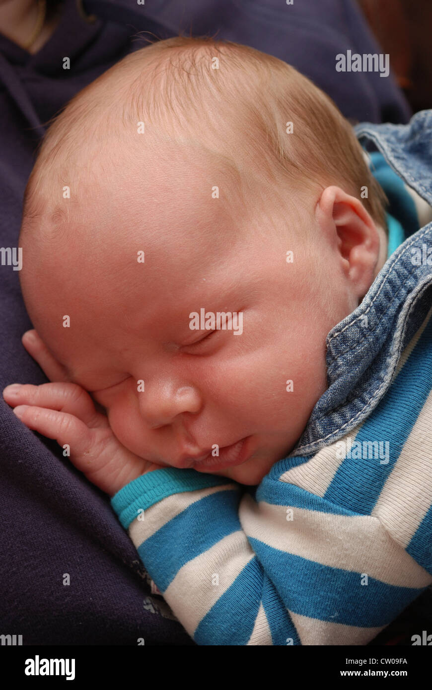 baby snuggled against womans chest Stock Photo - Alamy