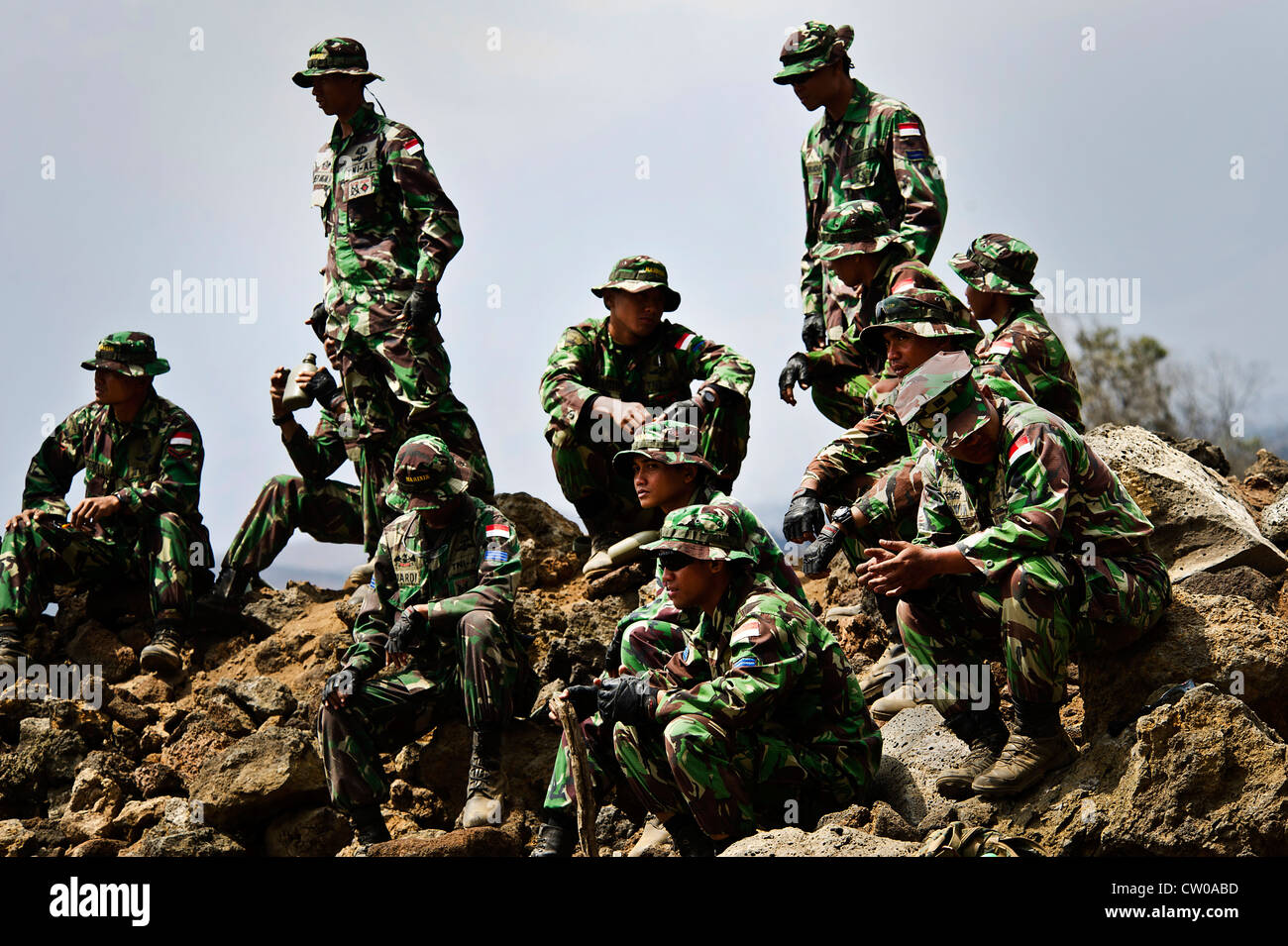Indonesian National Army High Resolution Stock Photography and Images ...