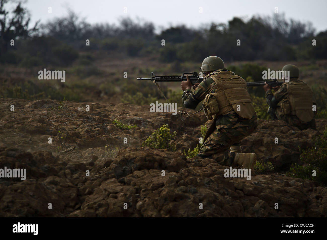 Royal tongan marines hi-res stock photography and images - Alamy