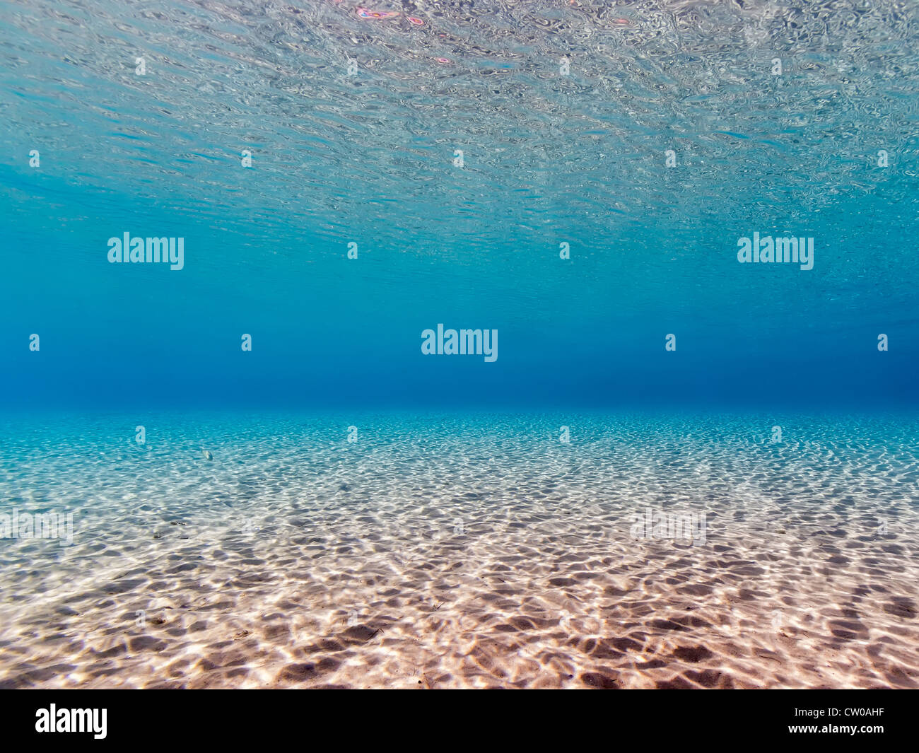 Underwater Light Ripples