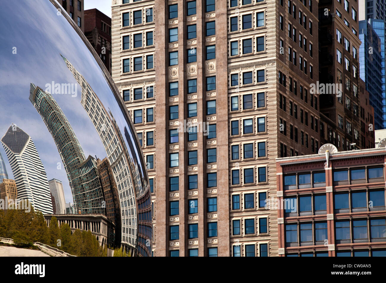 the bean and reflection Stock Photo - Alamy