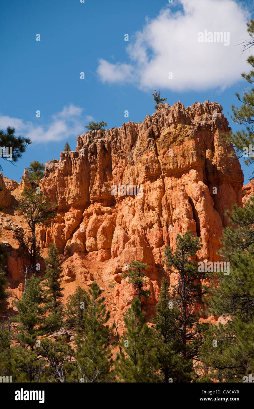 USA Utah, Red Canyon in Dixie National Forest near Zion National Park ...