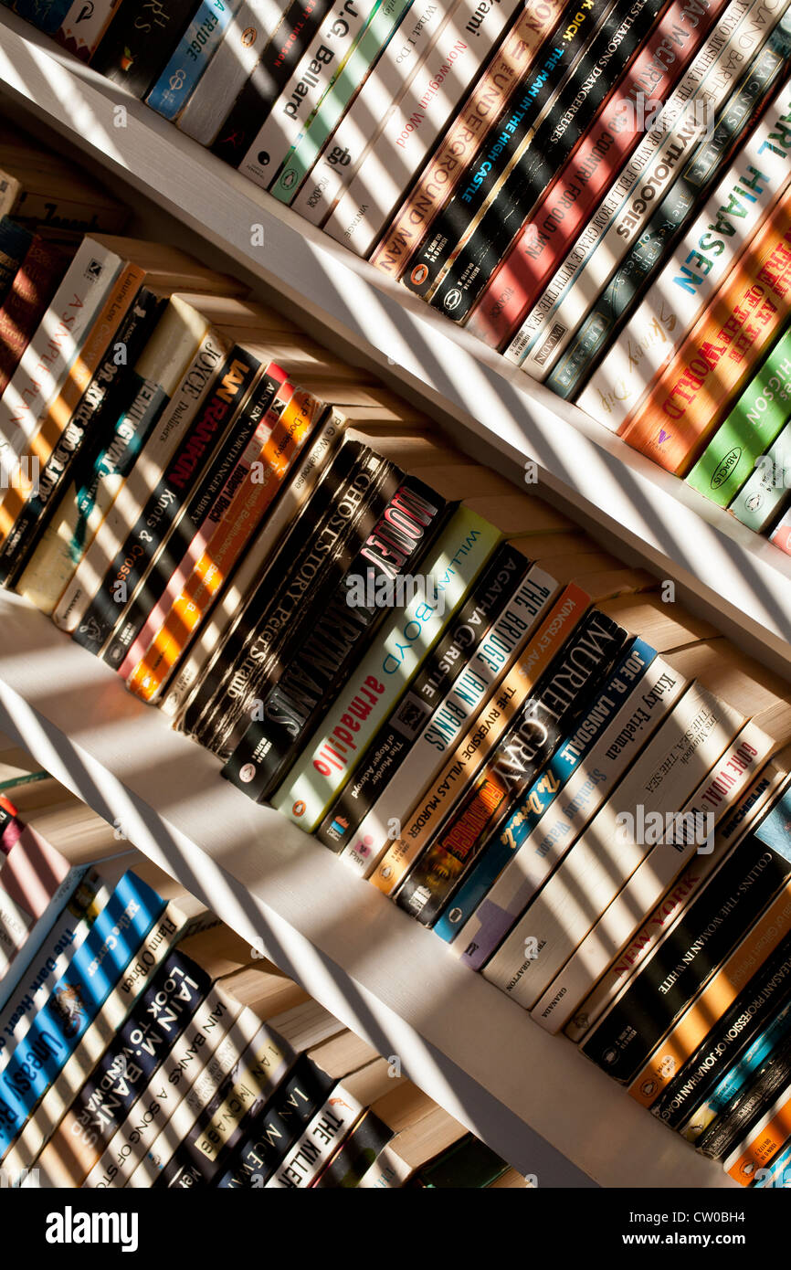 Bookshelves hi-res stock photography and images - Alamy