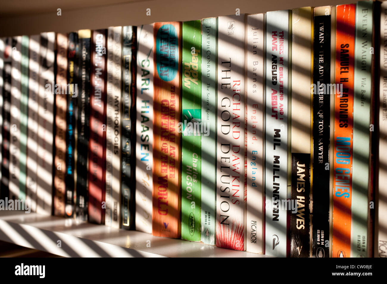 Paperback books on bookshelves with venetian blind shadows Stock Photo ...