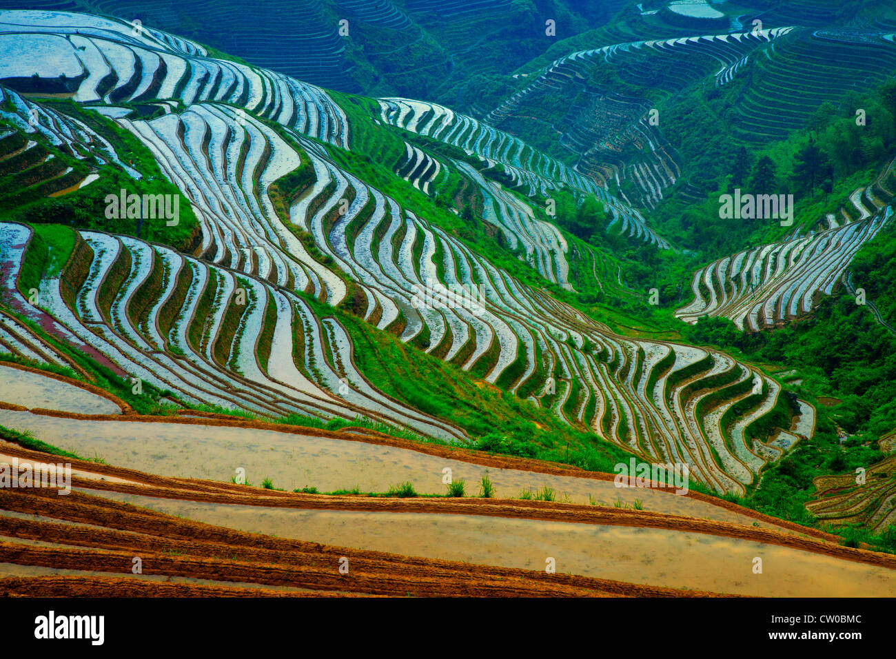 viewpoint 1 longji rice terraces Stock Photo - Alamy