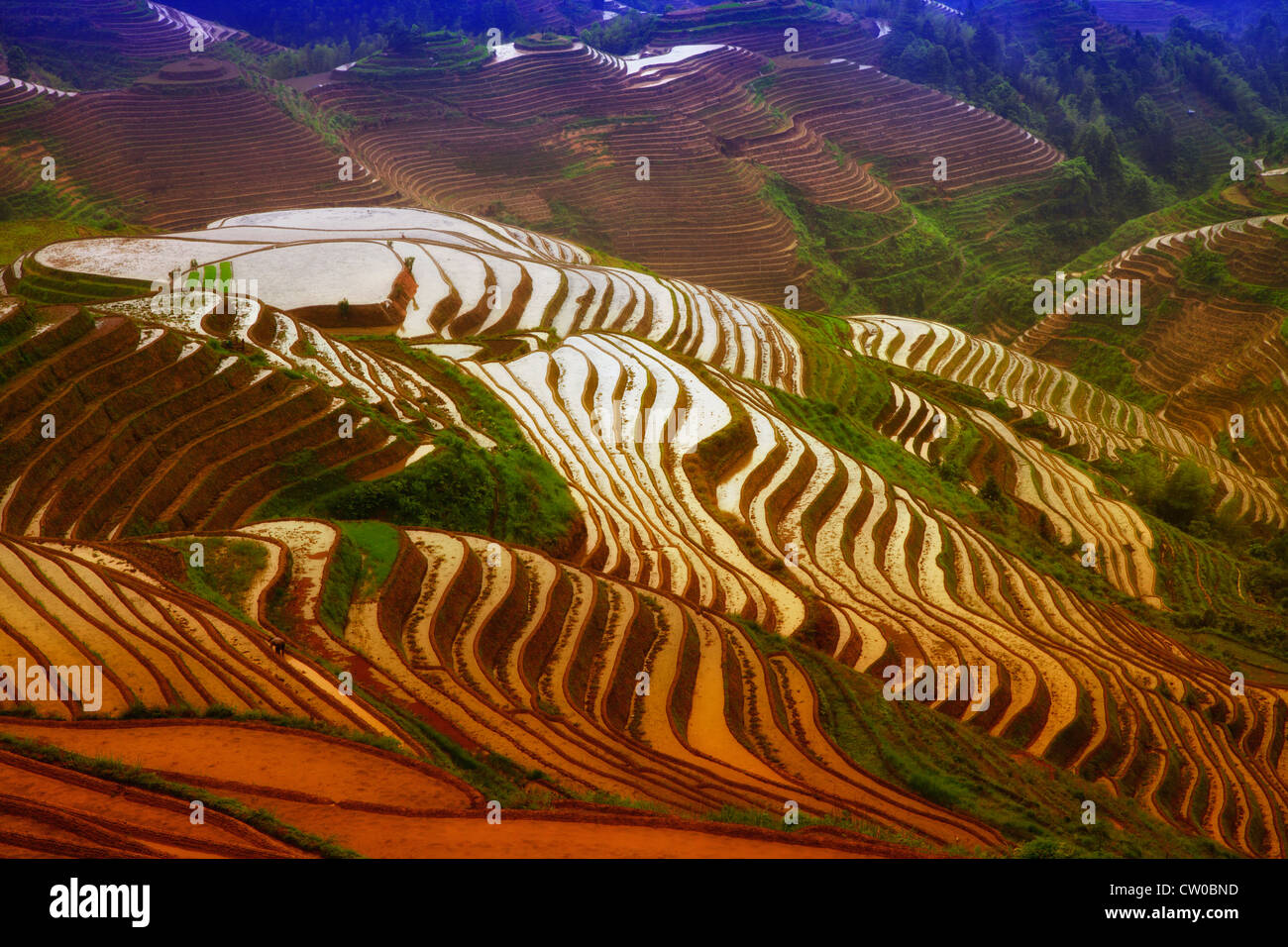 viewpoint one of the longji rice terraces Stock Photo - Alamy