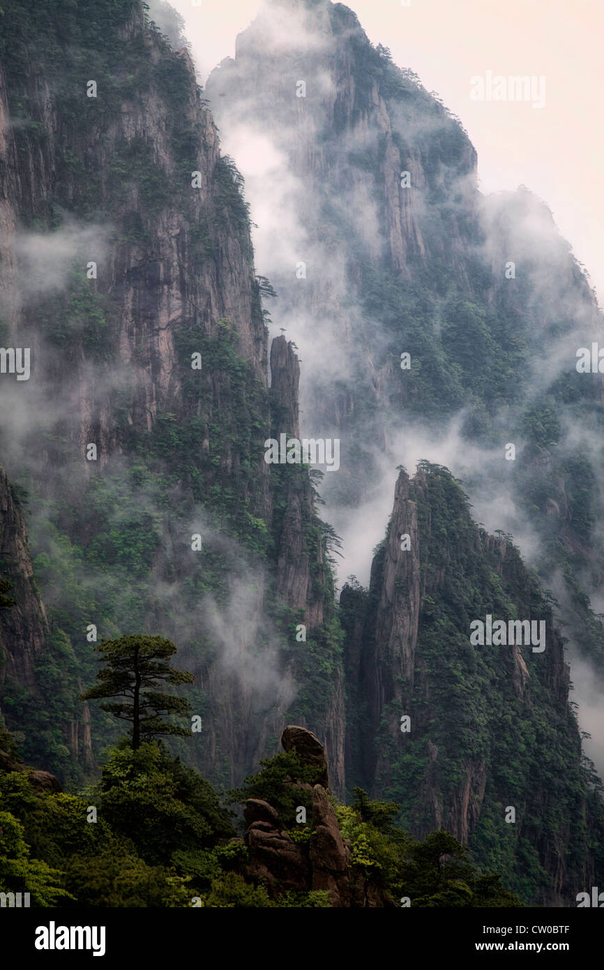 china's yellow mountain in clouds Stock Photo - Alamy