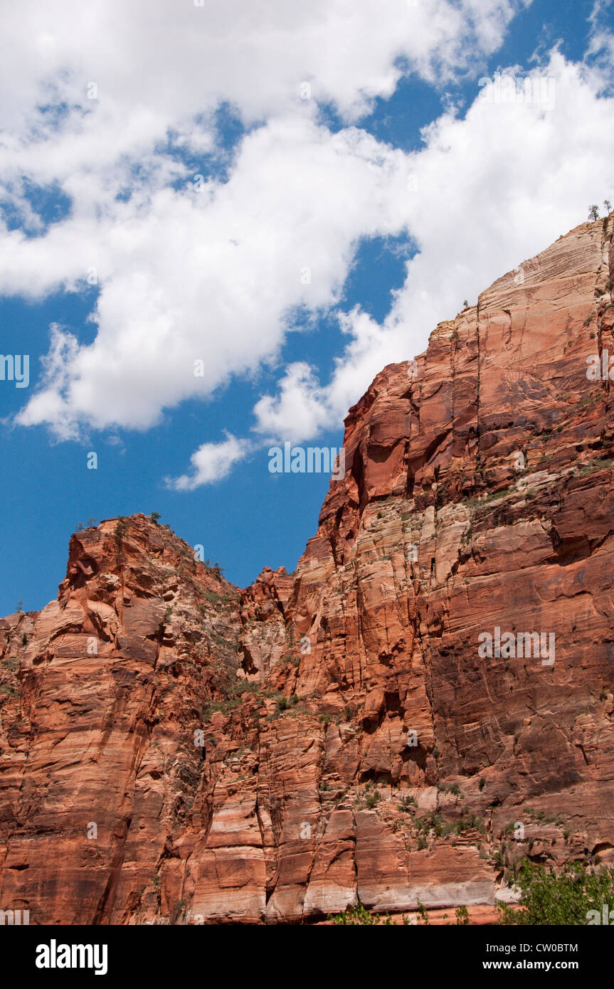 USA Utah, Zion National Park. The Grotto land form Stock Photo - Alamy