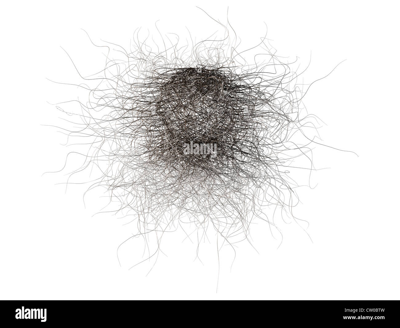 ball of hair isolated on white background Stock Photo - Alamy