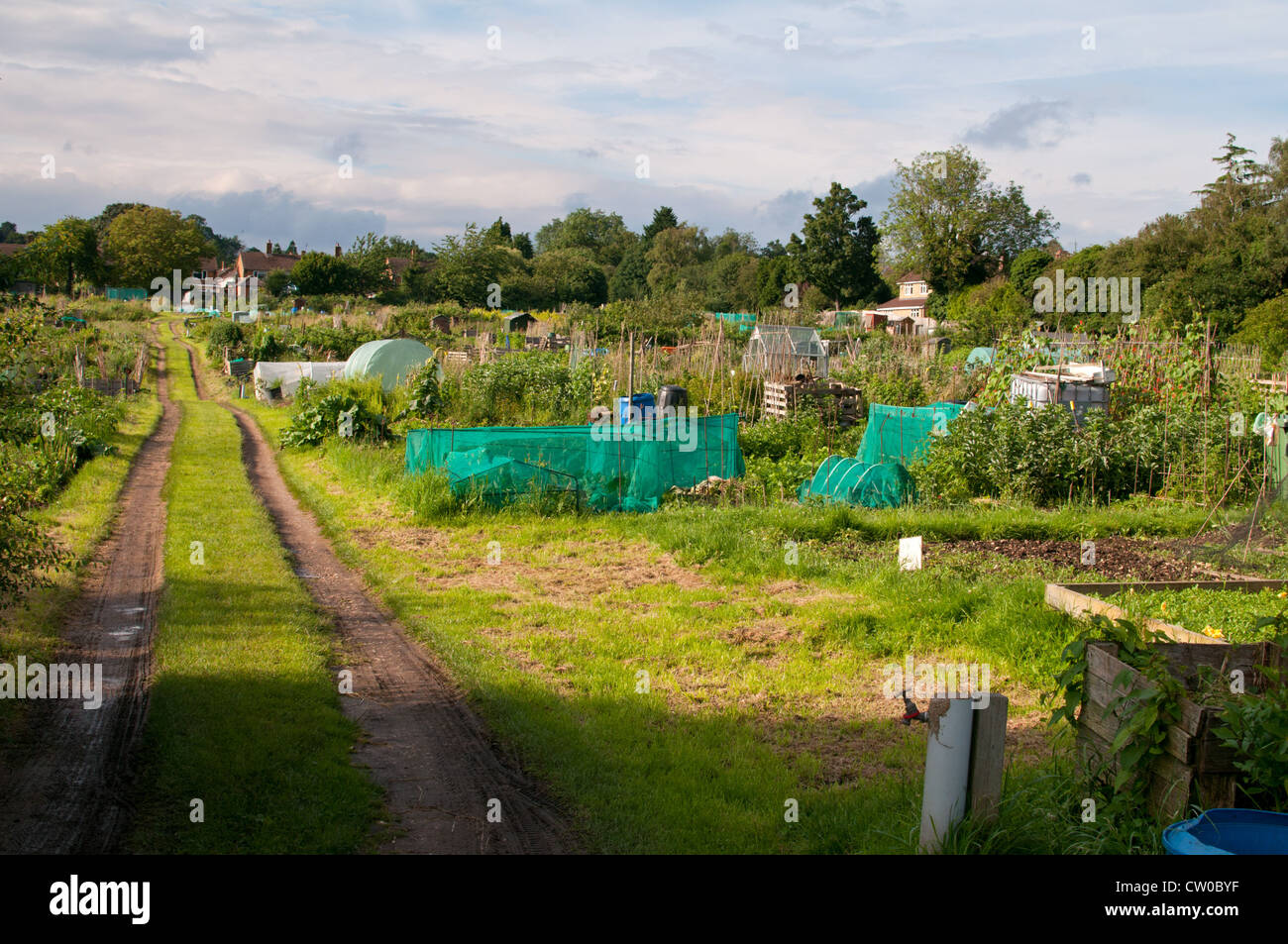 Allotments uk hi-res stock photography and images - Alamy