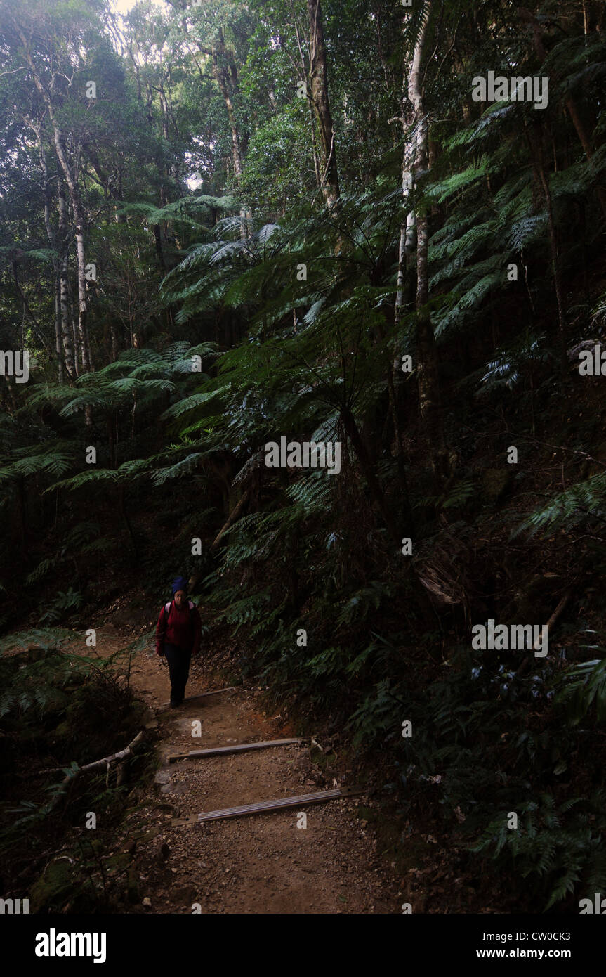 Mt warning hi-res stock photography and images - Alamy